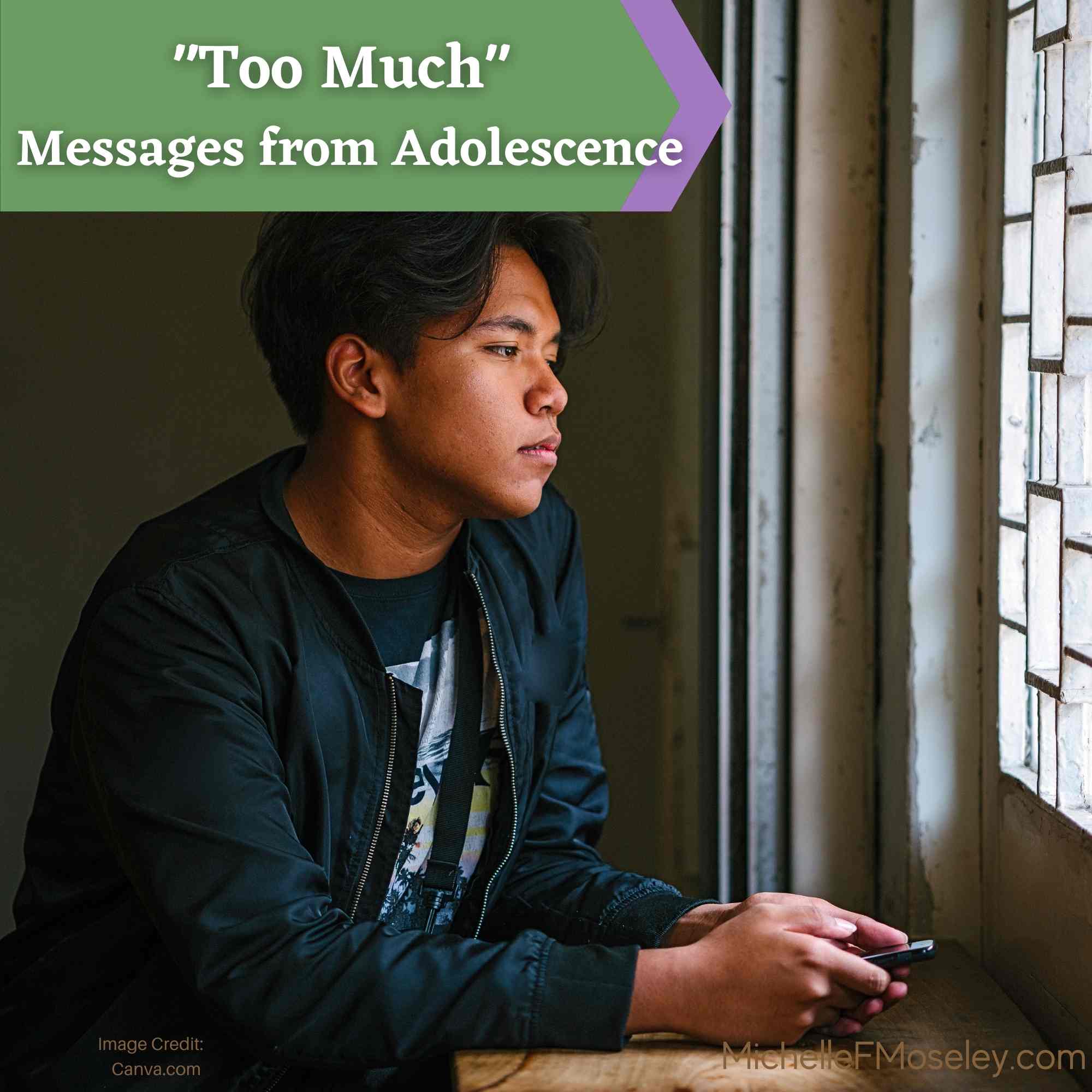Messages from Adolescence of Being "Too Much" - Michelle F. Moseley ...