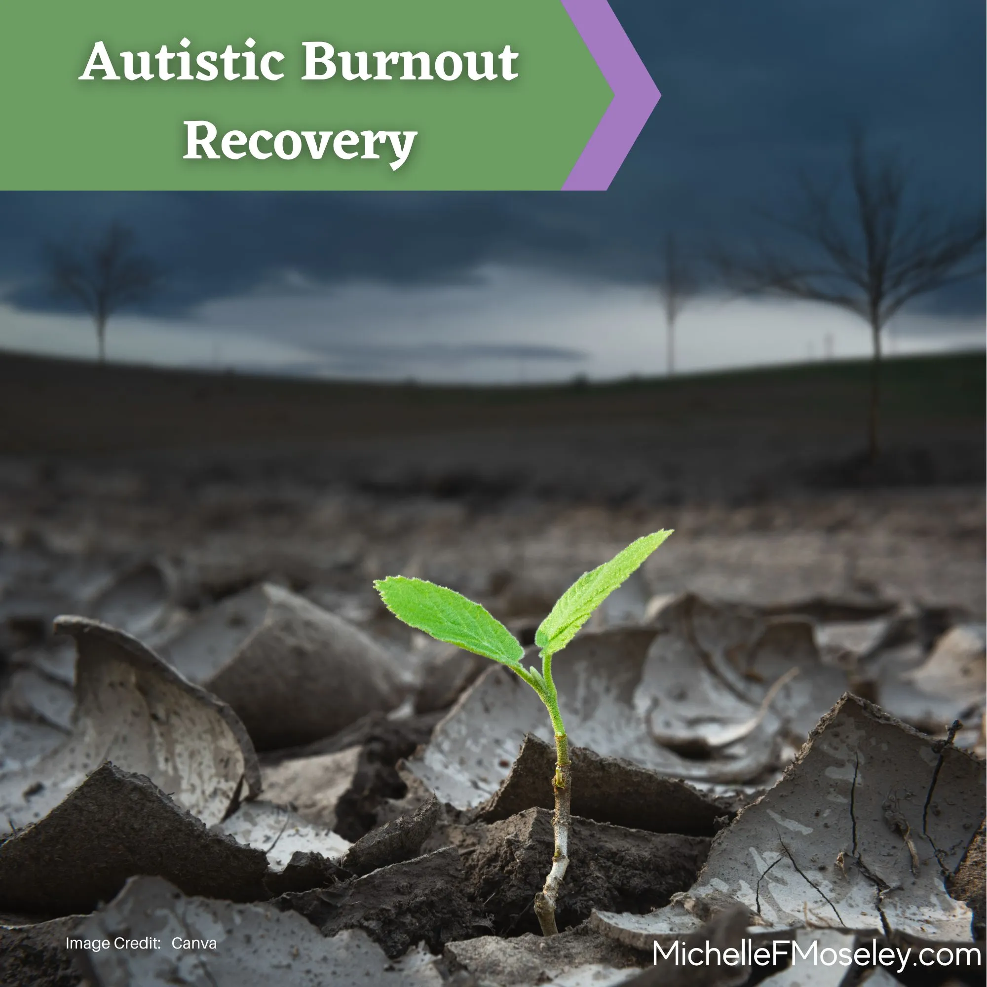 Autistic Burnout Recovery - Michelle F. Moseley Counseling